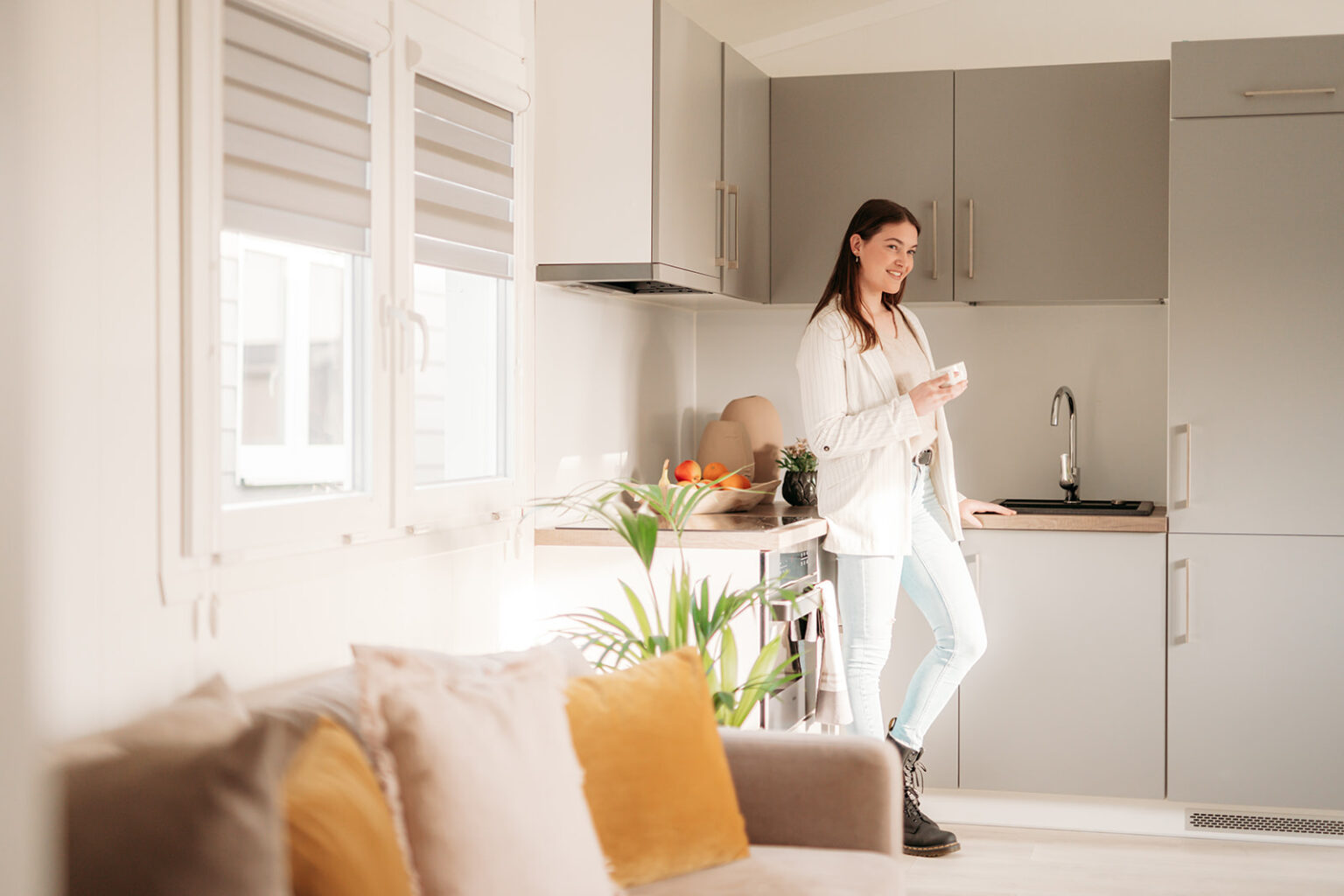 Lento.eu - Van der Hoff ICT